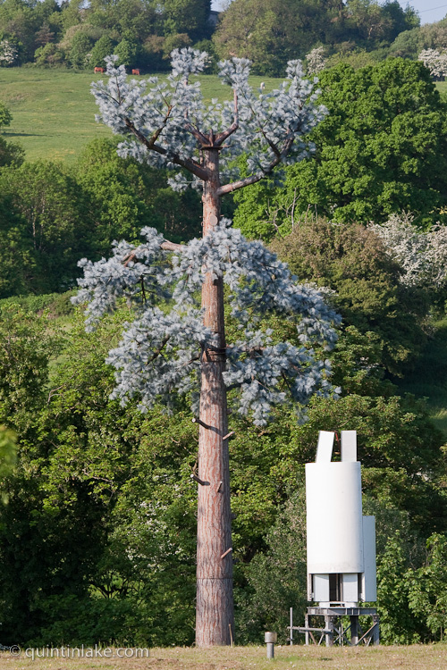 Accidental sculpture: False Tree Mobile Phone Mast / Antenna Tower ...