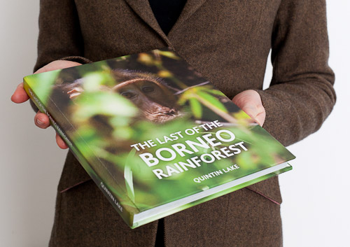 Book in the flesh: The Last of the Borneo Rainforest | Geometry & Silence